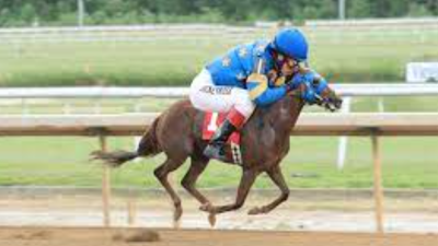 Smaller Is Better - Fiduciary Wealth Partners